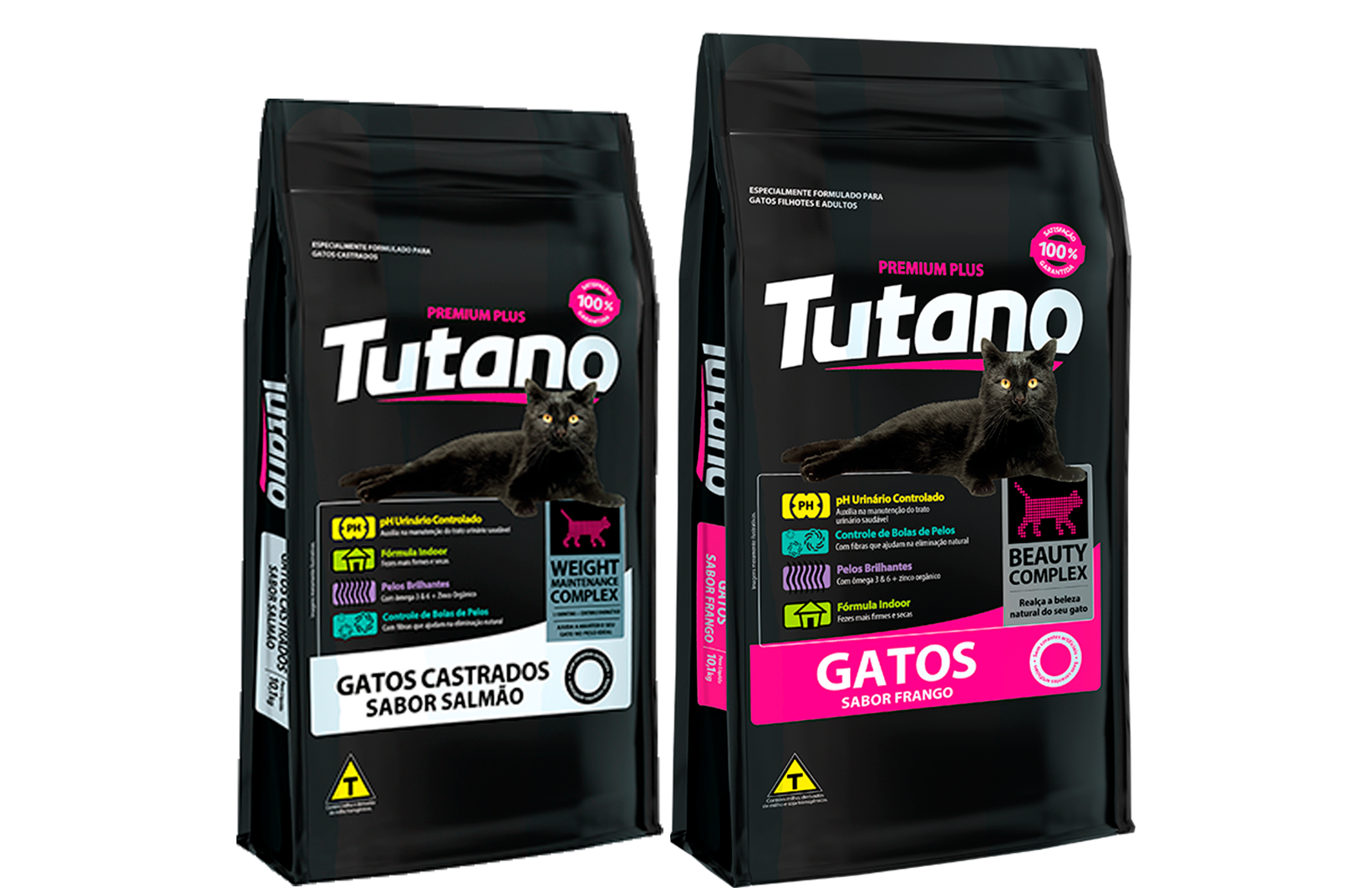 Tutano Gatos – Início – Tutano